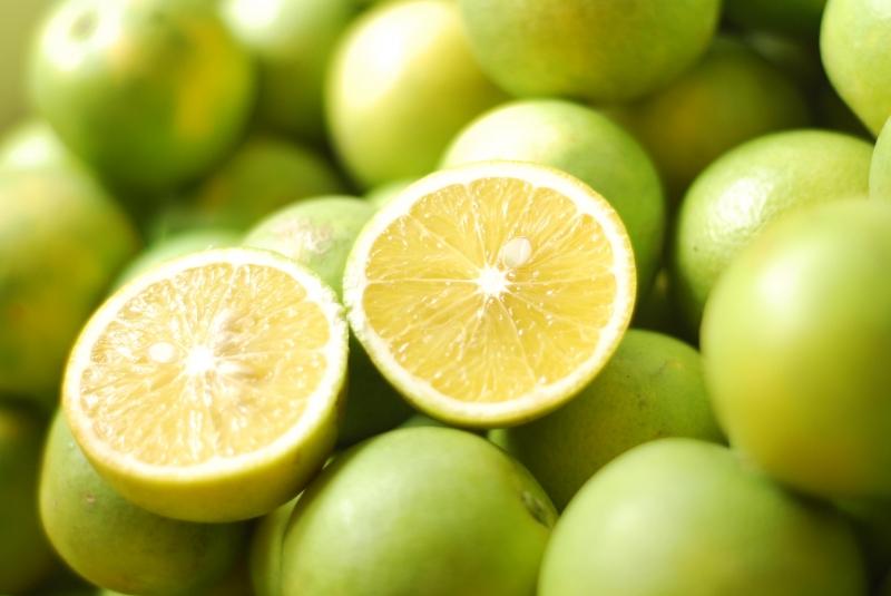 Top 18 Loại hoa quả đặc sản nổi tiếng ở từng vùng miền Việt Nam ...