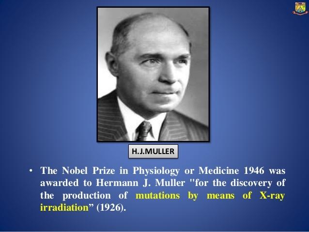 Top 11 giải thưởng Nobel có mức độ ảnh hưởng lớn đến thế giới - Toplist.vn