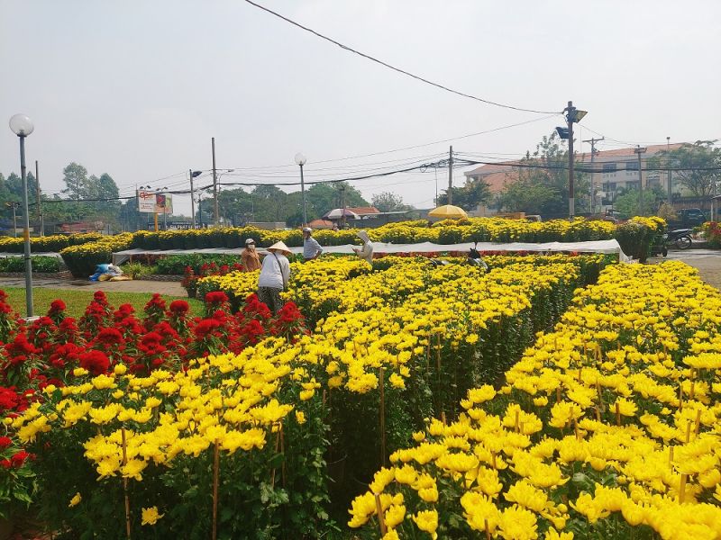 Top 7 Hội hoa Xuân đẹp nhất ở Sài Gòn - Toplist.vn