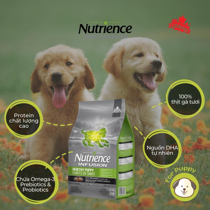 Top 5 thương hiệu hạt khô cho chó mèo tốt nhất hiện nay - Toplist.vn