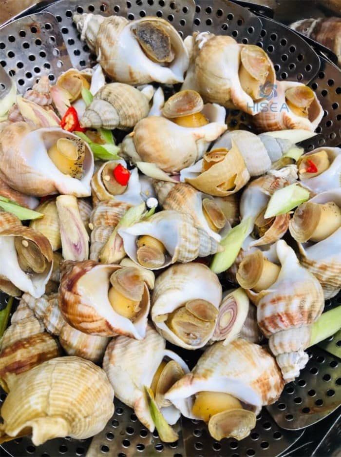 Top 7 Địa chỉ ăn ốc ngon nức tiếng nhất TP. Đà Lạt, Lâm Đồng - Toplist.vn