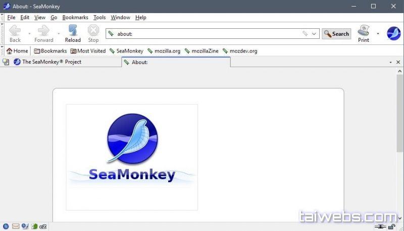 Top 10 Trình duyệt web nhẹ nhất trên máy tính cho máy yếu - Toplist.vn