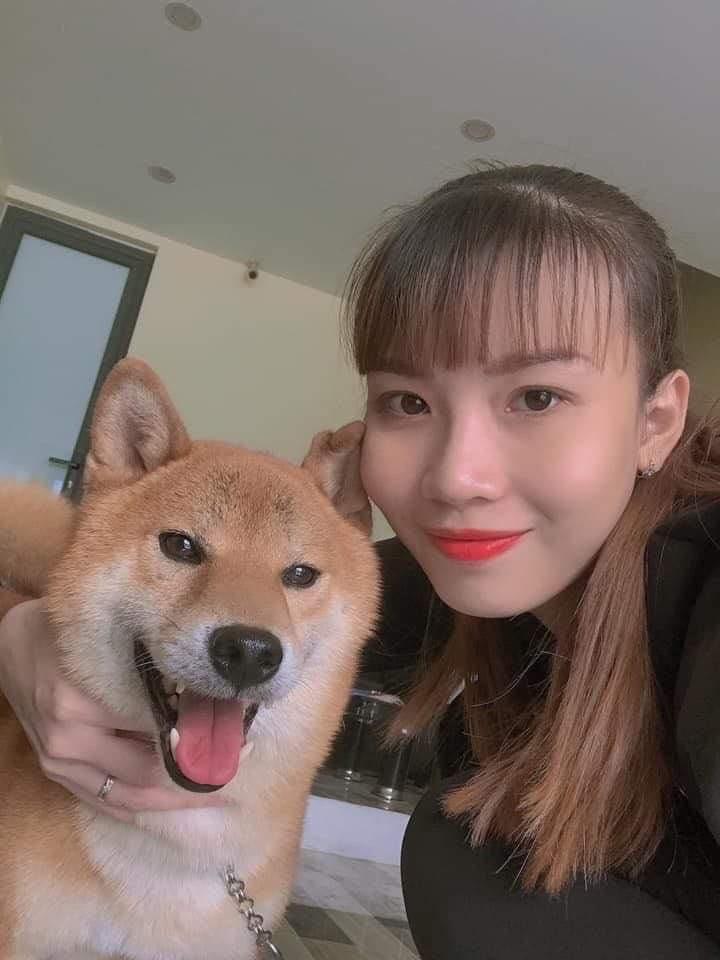 Top 5 Địa chỉ mua chó Shiba Inu uy tín tại Hà Nội - toplist.vn