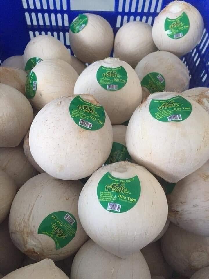 Top 8 Cửa hàng trái cây sạch và an toàn tại quận Gò Vấp, TP. HCM ...